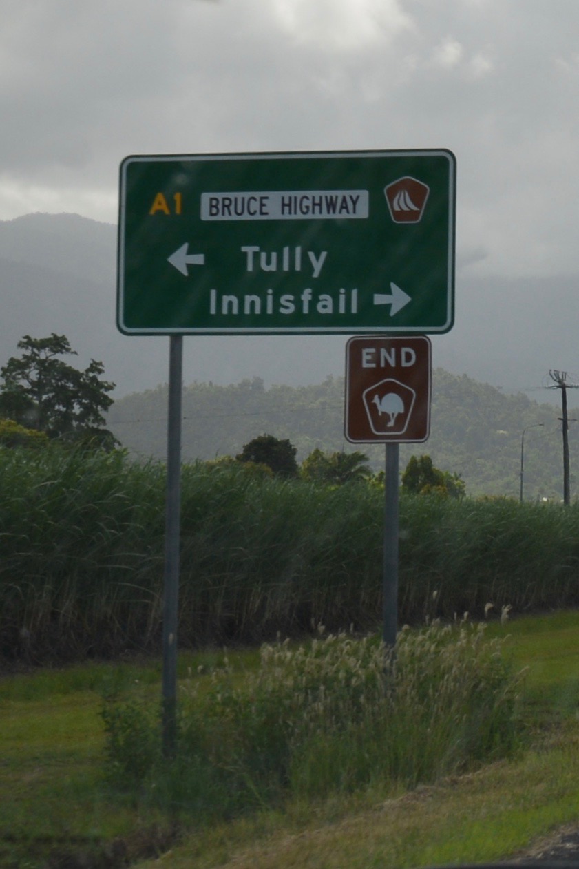 Cassowary hunting @ Mission Beach – Scientific Pirate Travels…